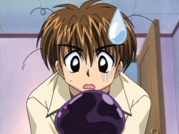 Wagamama Fairy Mirumo de Pon – 39 (DVD) – Mundo do Shoujo